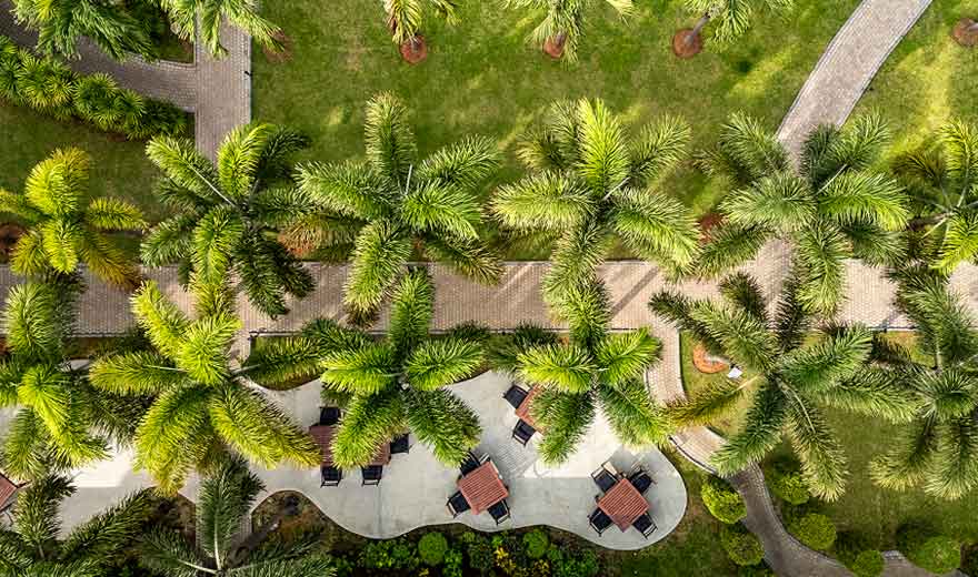 Boutique Hotels in Sri Lanka | Fox Resorts Official Site