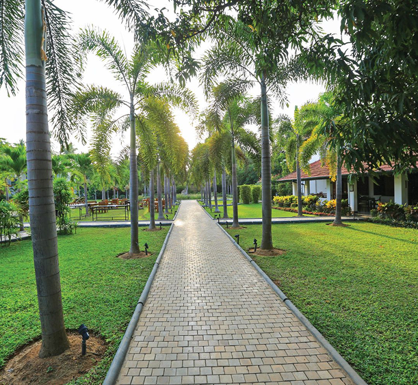 Hotels in Jaffna Sri Lanka | Fox Jaffna Official Site